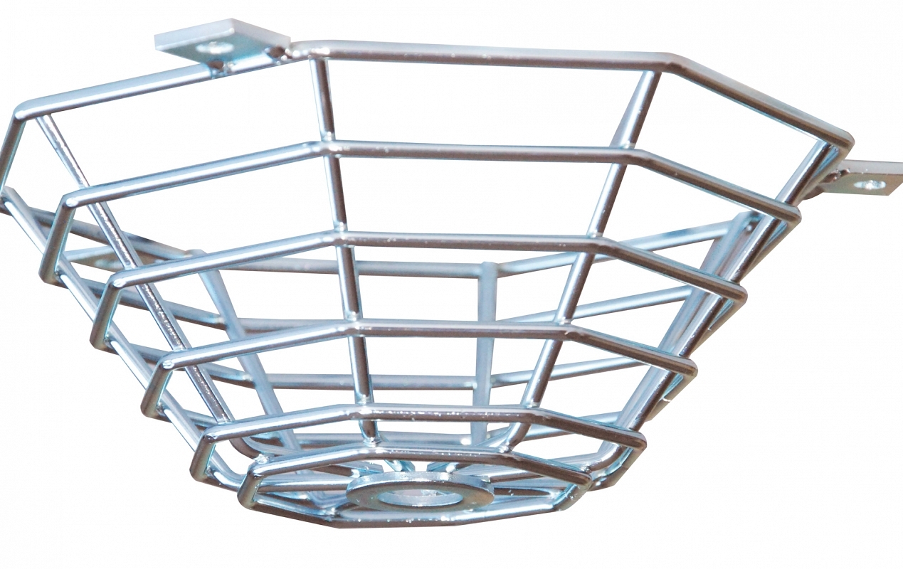 Protection cage for detector