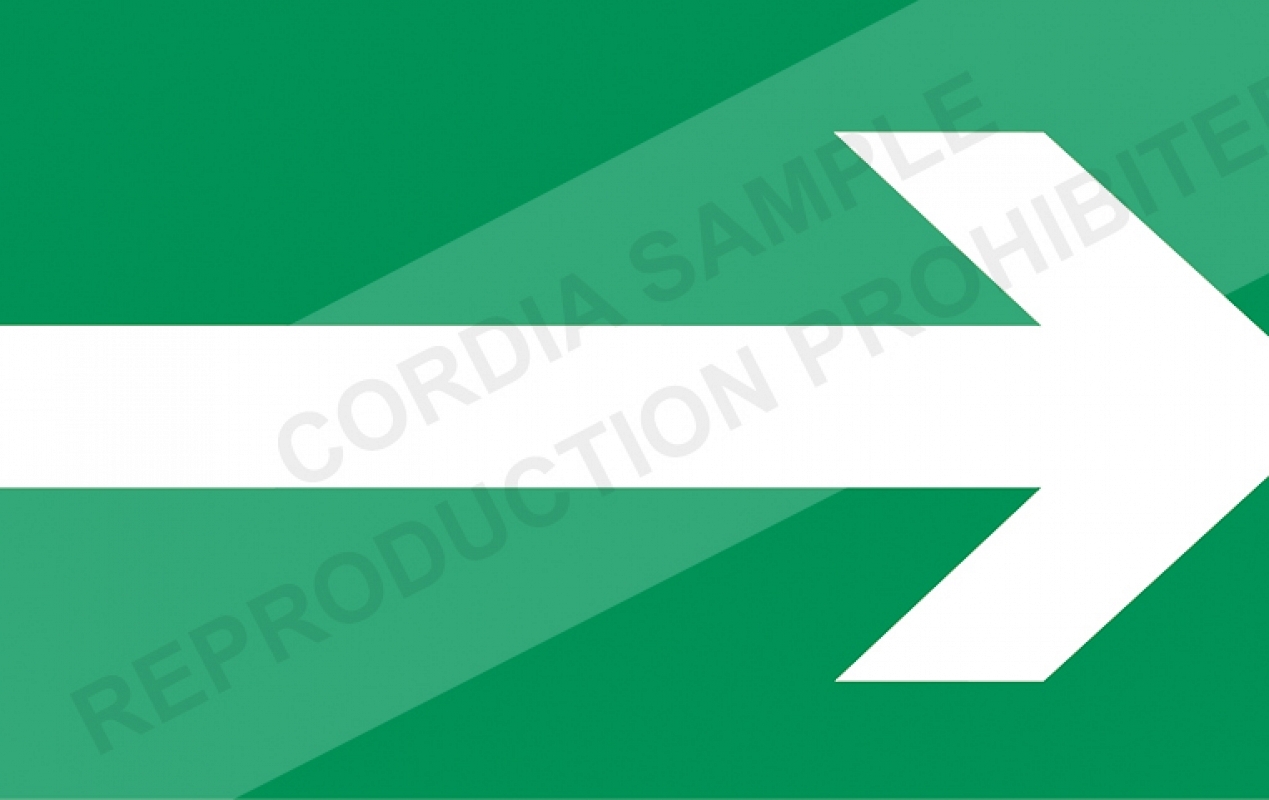 PVC sign L.300 x H.150 mm