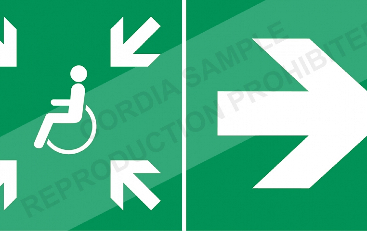 PVC sign L.300 x H.150 mm